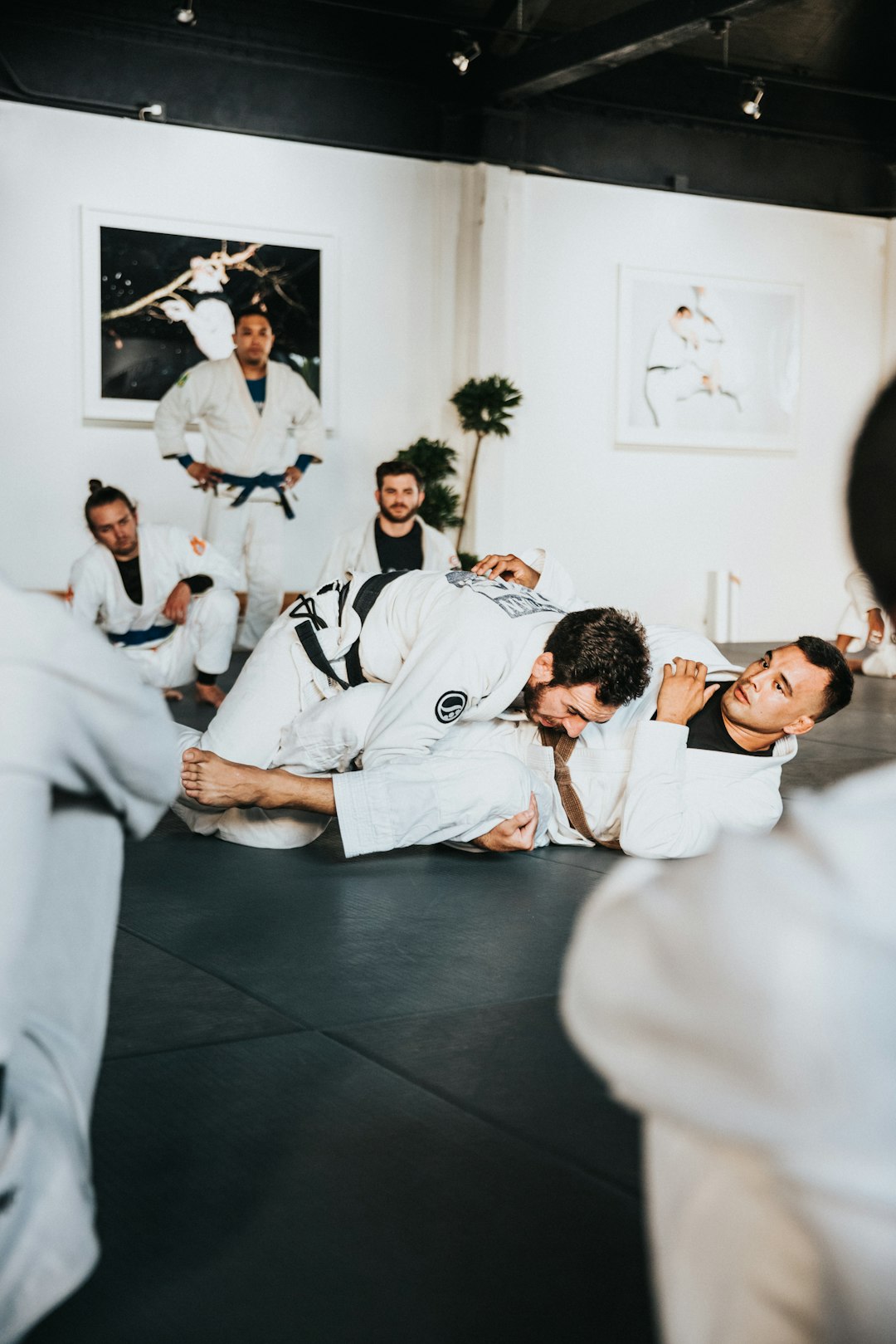How Many Types of Martial Arts Are There? 25+ Styles Explored (2025) 🥋 ...